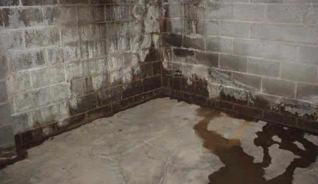 How to Dry Out a Wet Basement Fast | Everdry Waterproofing of Greater ...